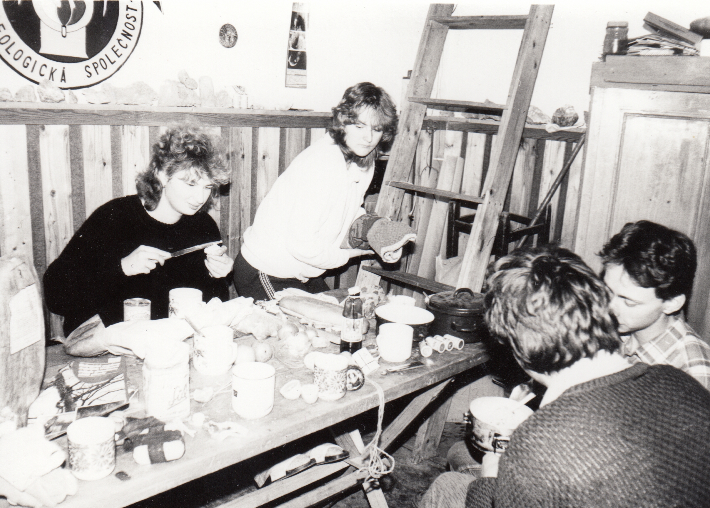 Martin Ehrlich (1966)